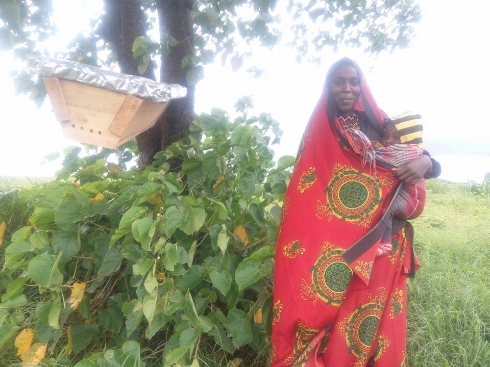 Climate Change Adaptations - IREMO KENYA